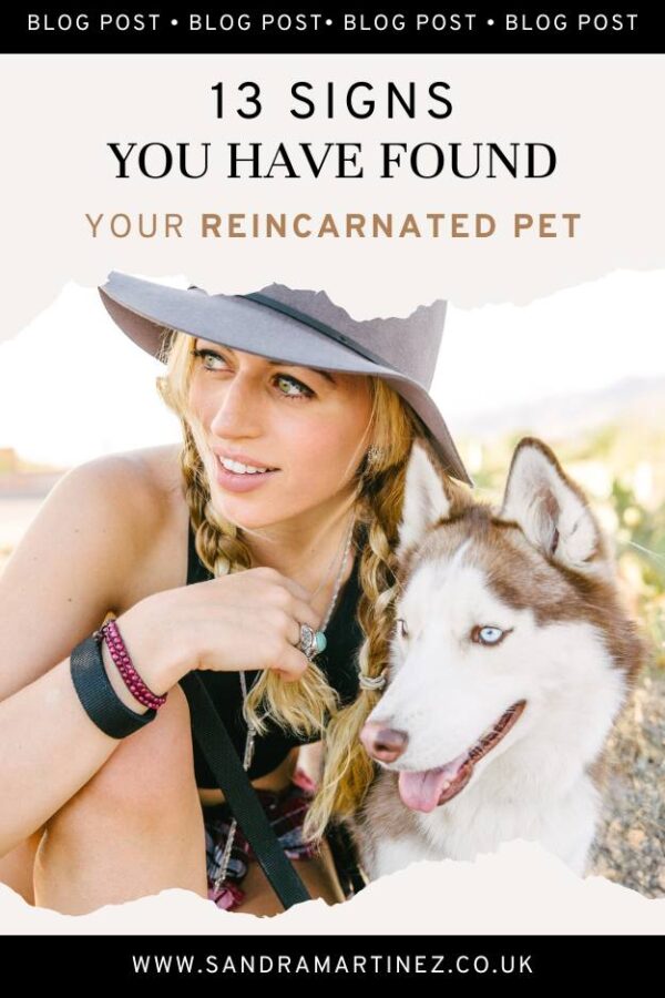9 undeniable Signs Your Pet Wants To Reincarnate Back To You - Sandra ...